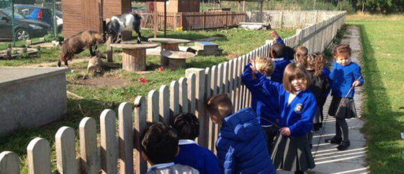 British Values - Highfield Primary School